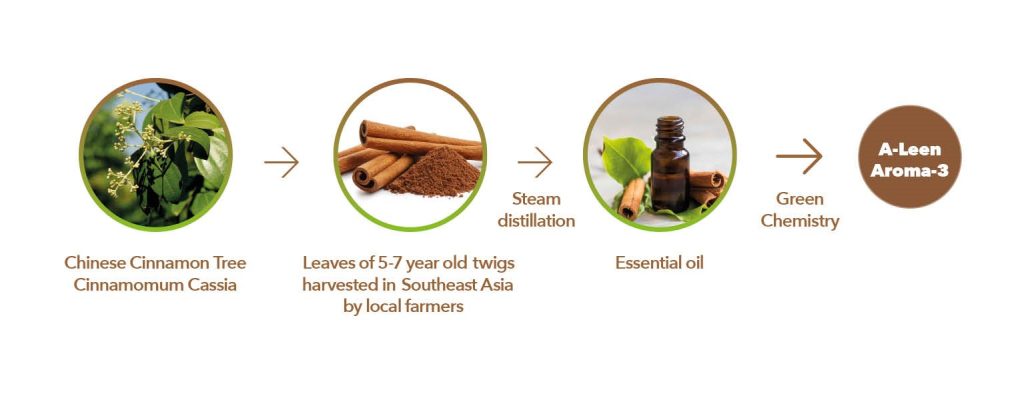 flow chart - Minasolve